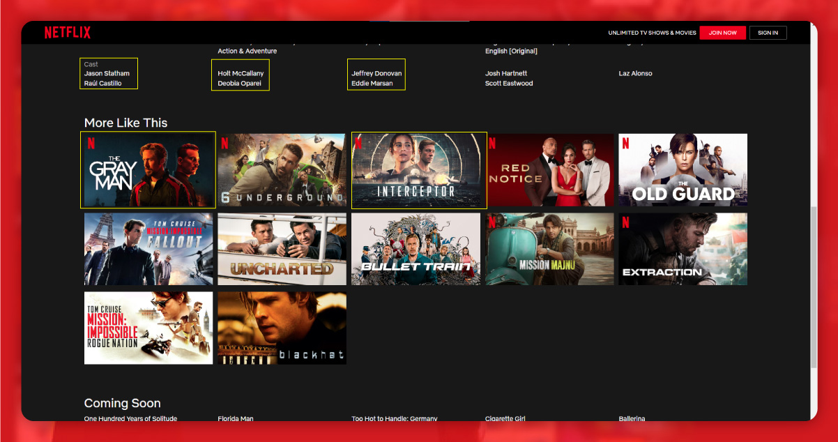 How to Perform Web Scraping of Netflix Data?